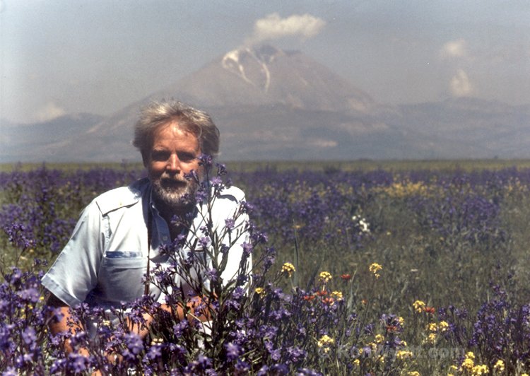 ronwyattarchives.com – The Ron Wyatt Archives